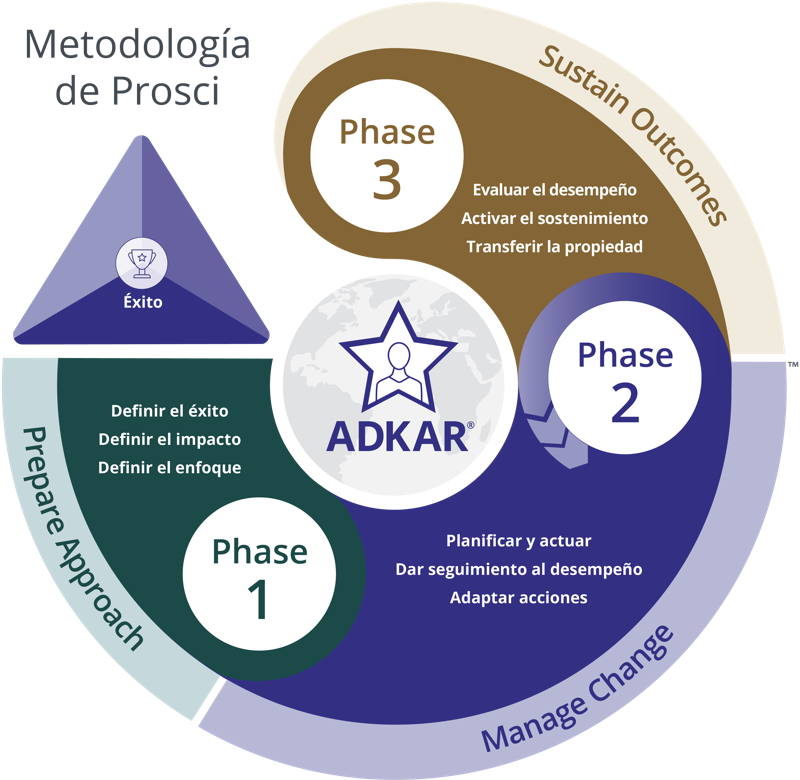 Proceso de 3 Fases de Prosci